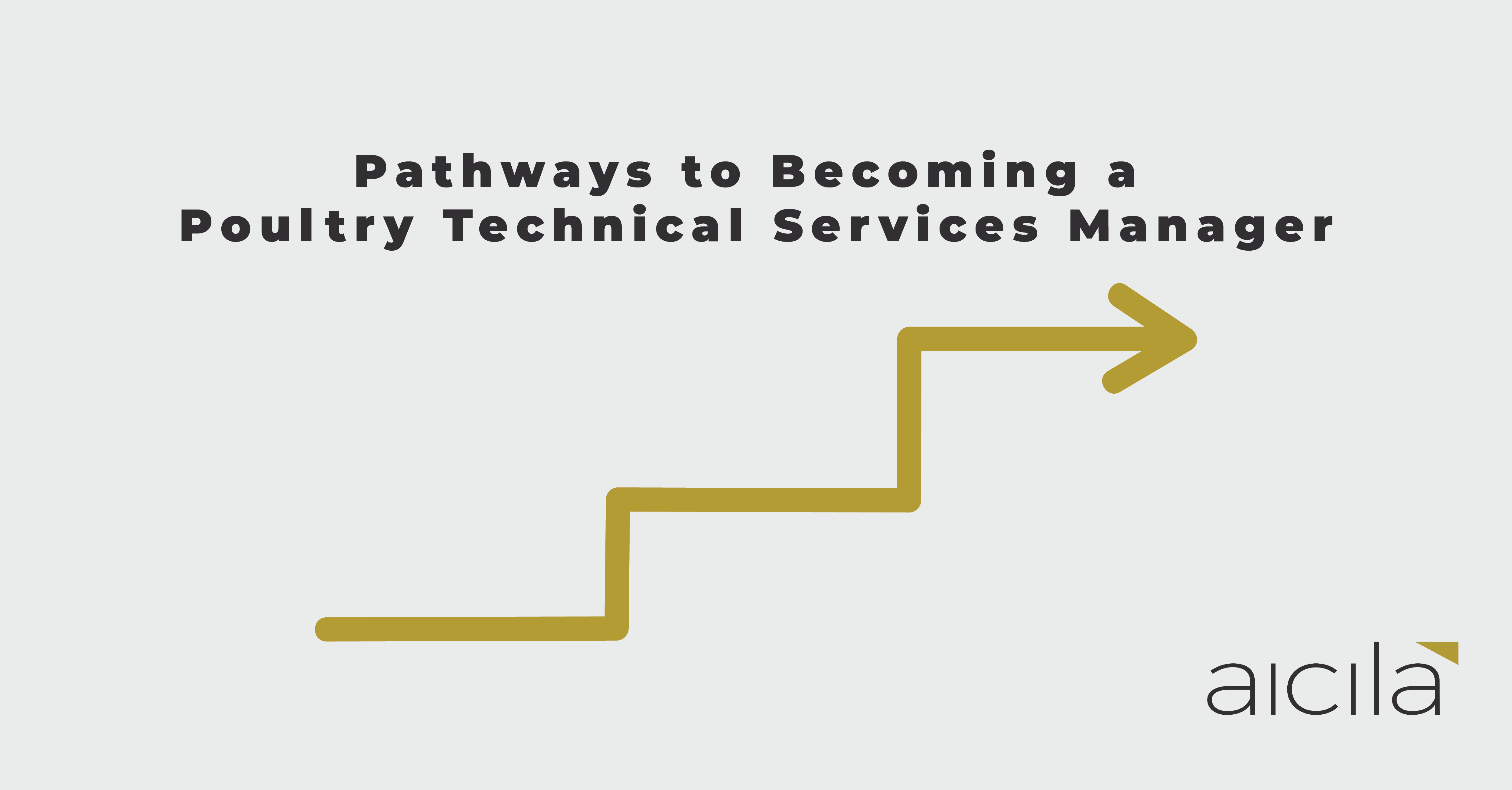 Pathways to Becoming a Poultry Technical Services Manager - The Aicila ...