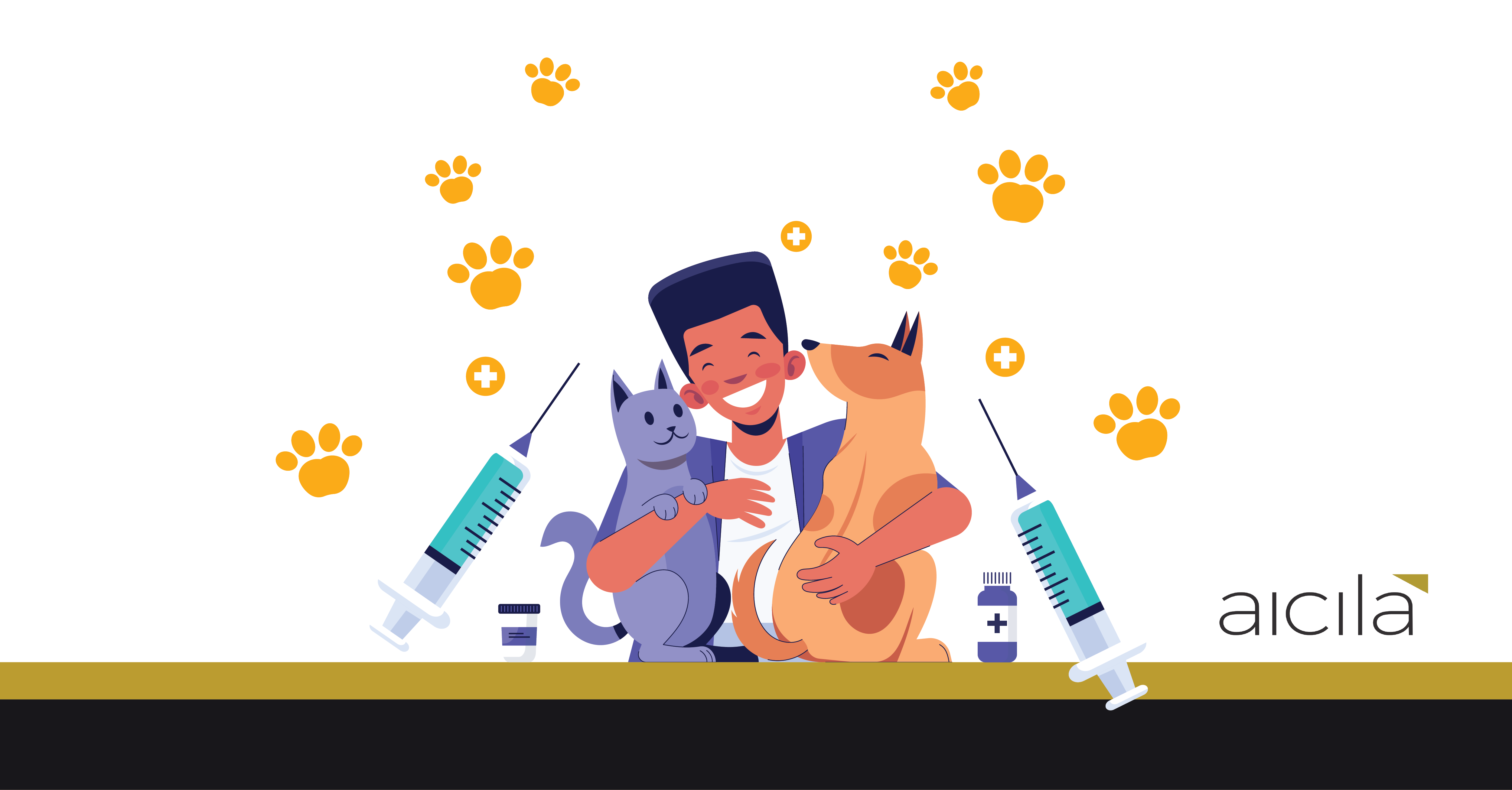 A Day in the Paws of an Animal Health Technician: Navigating Care ...